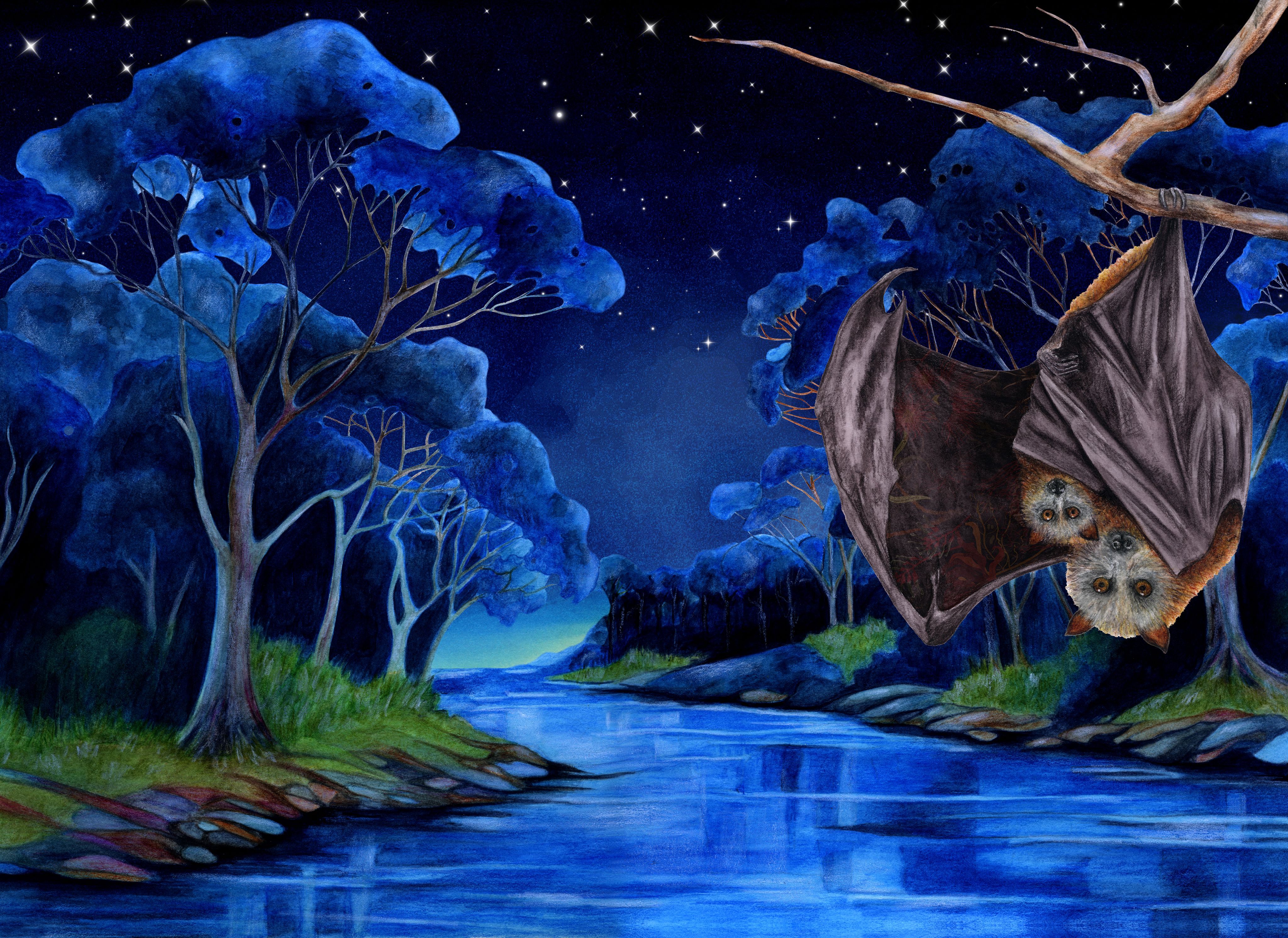 FLICK the flying fox
