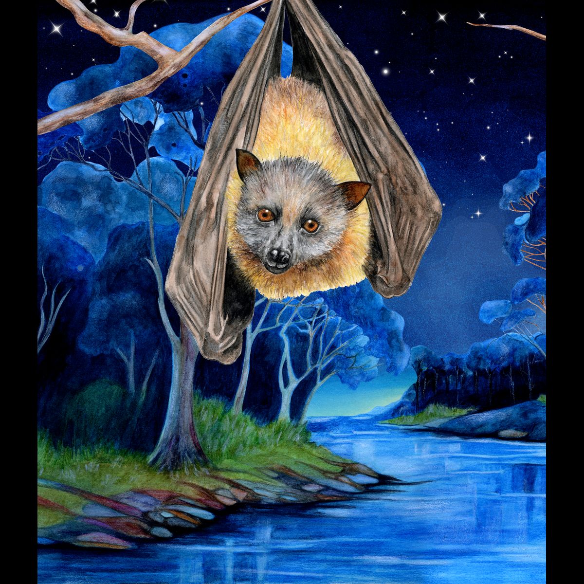 FLICK the flying fox
